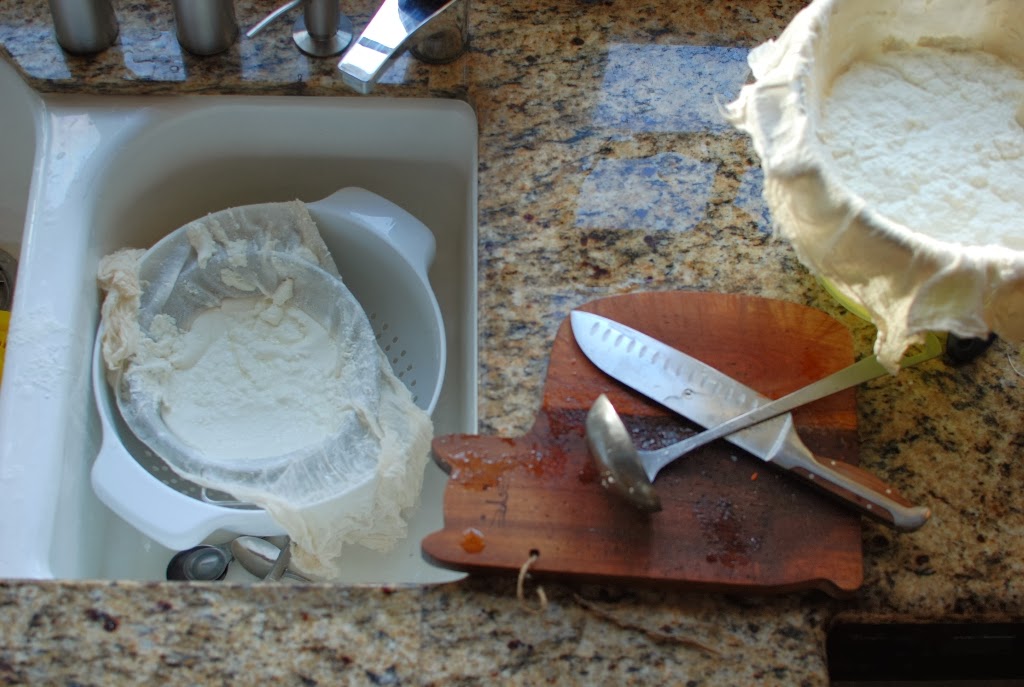Fresh Mozzarella - FAILED!! - Simply So Good