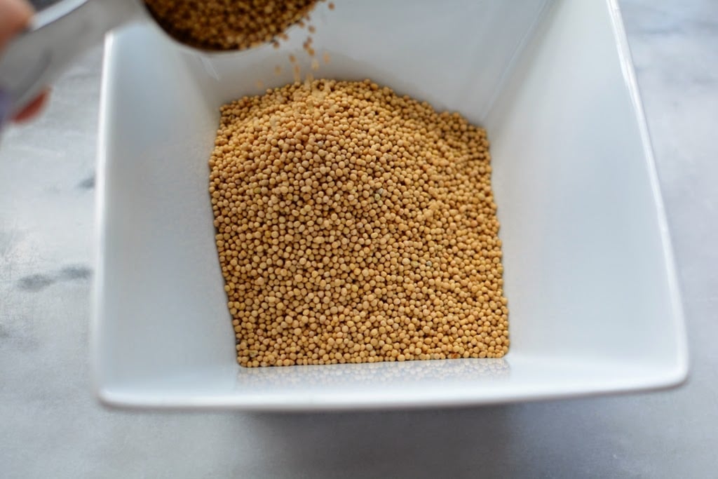 French-Style Grainy Mustard - Simply So Good